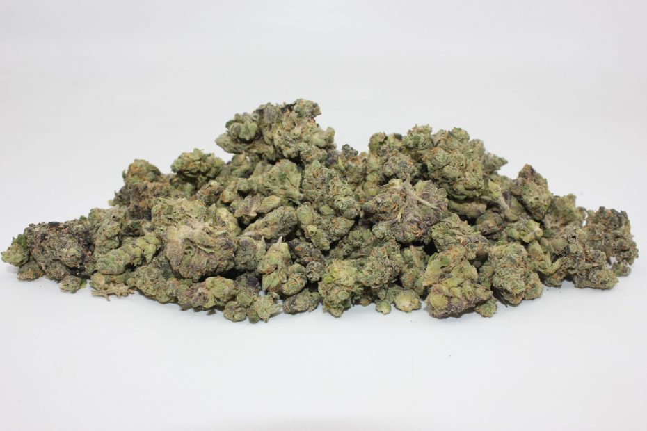 THE 💯 – PINK COMATOSE - High Society 416